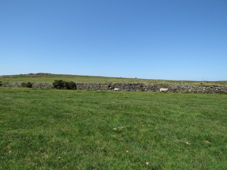 Stone Hedge on Bodmin Moor near Trippet Stone Circle - Kowethas Ertach ...