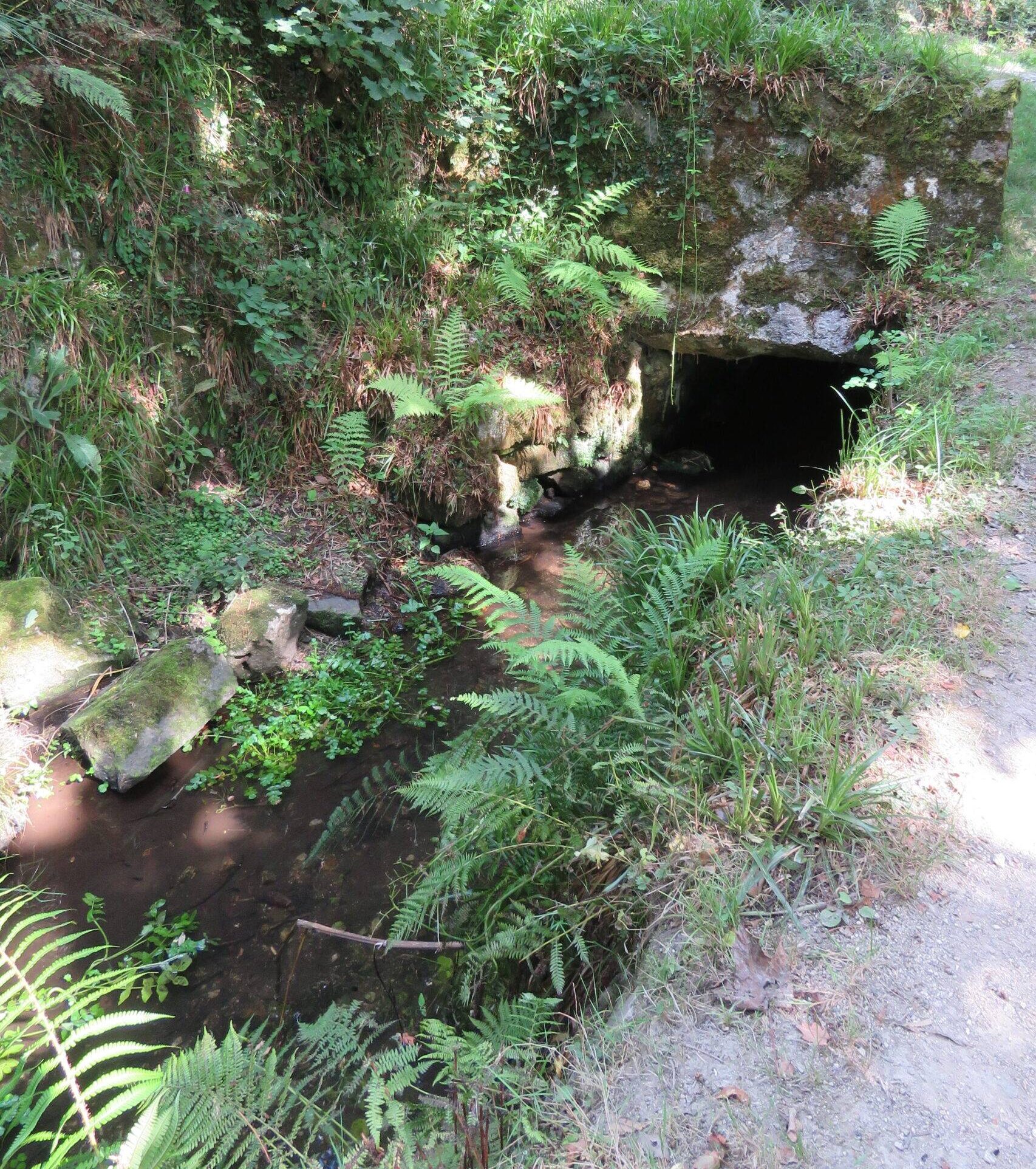 A leat passing beneath the pathway - Kowethas Ertach Kernow