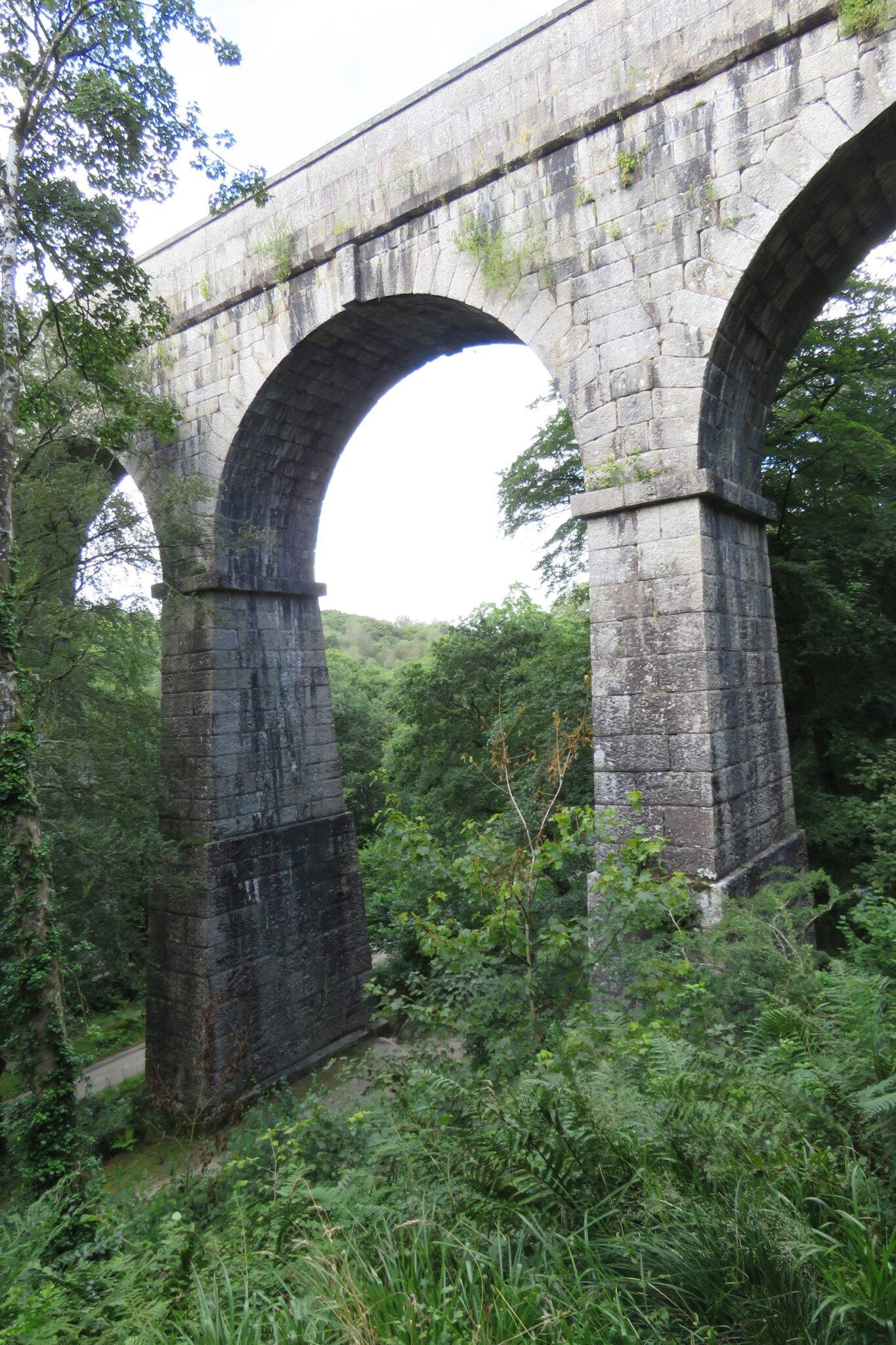 Beautiful Luxulyan Valley and an interesting parish