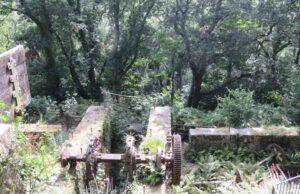 Beautiful Luxulyan Valley and an interesting parish