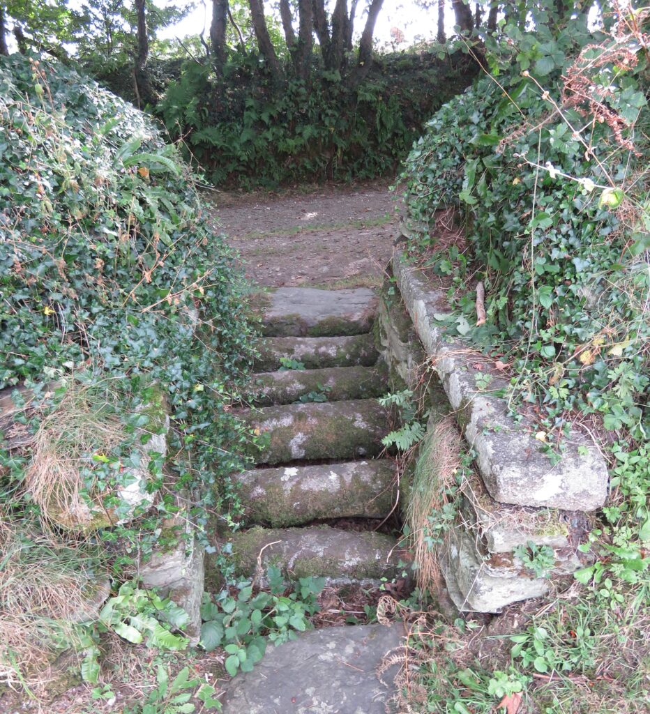 Warbstow Church historic stone ‘Cattle Grid’ - Kowethas Ertach Kernow